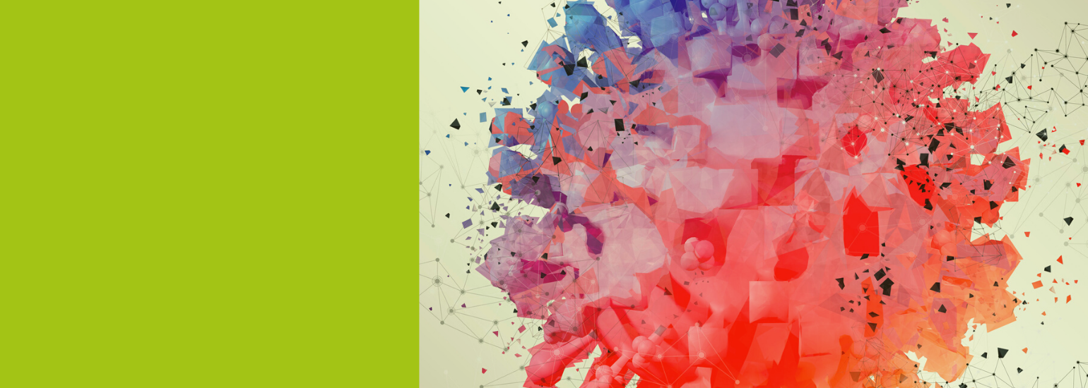 St Patrick's Mental Health Services referral - Bed v...